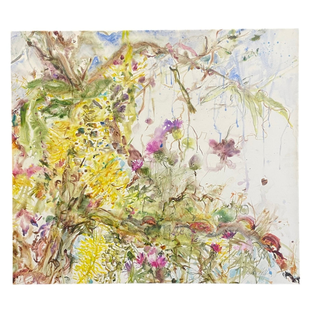 'Forrest Orchids' | Diane Kelly – Nutmeg Home